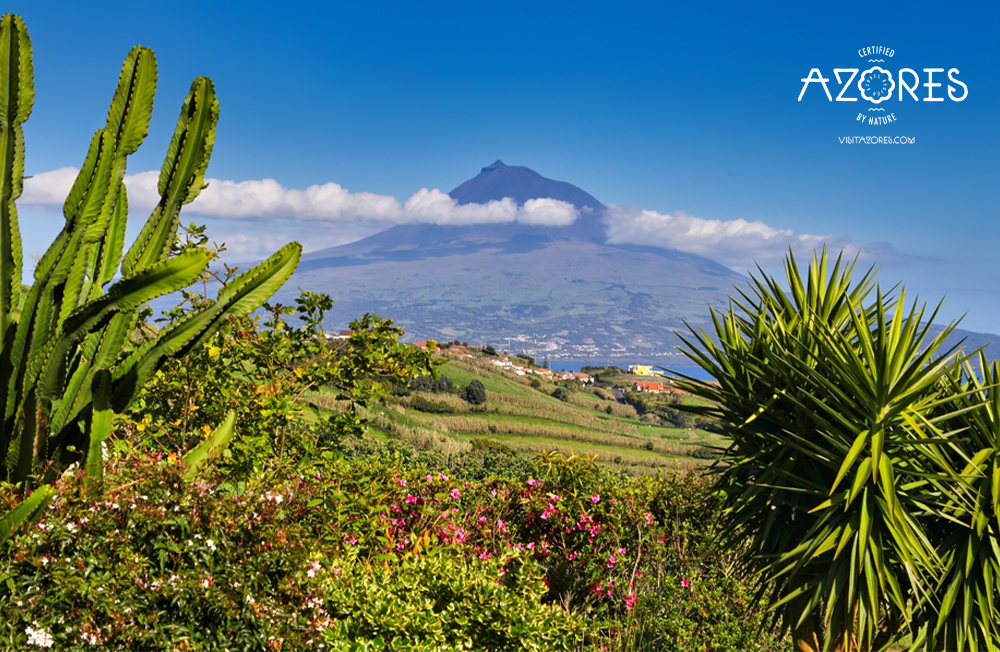 Wyspy Azory - jak zaplanować podróż i co zobaczyć? - TUI
